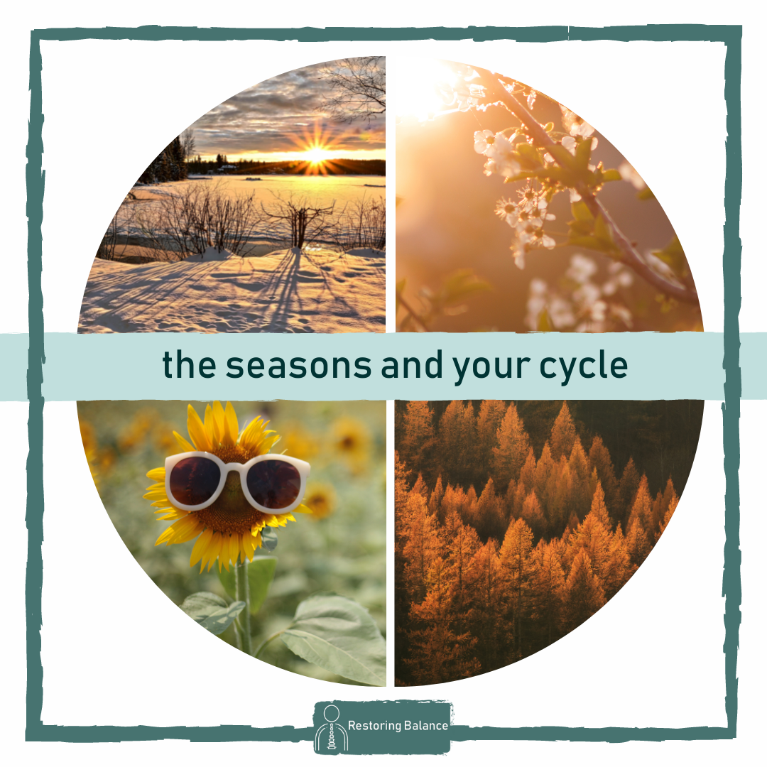 The Female Cycle — Restoring Balance